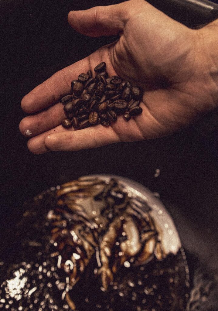 Fabbrica laboratorio: luogo della sperimentazione - Lyria