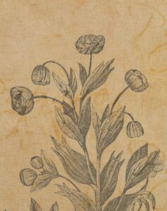 Lyria uses only energy from renewable sources - Lyria